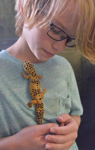 North Attleboro's 'Zoo Crew' gives kids first-hand look at the life of ...