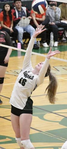 H.S. VOLLEYBALL: Mansfield right at home in tourney debut win over ...