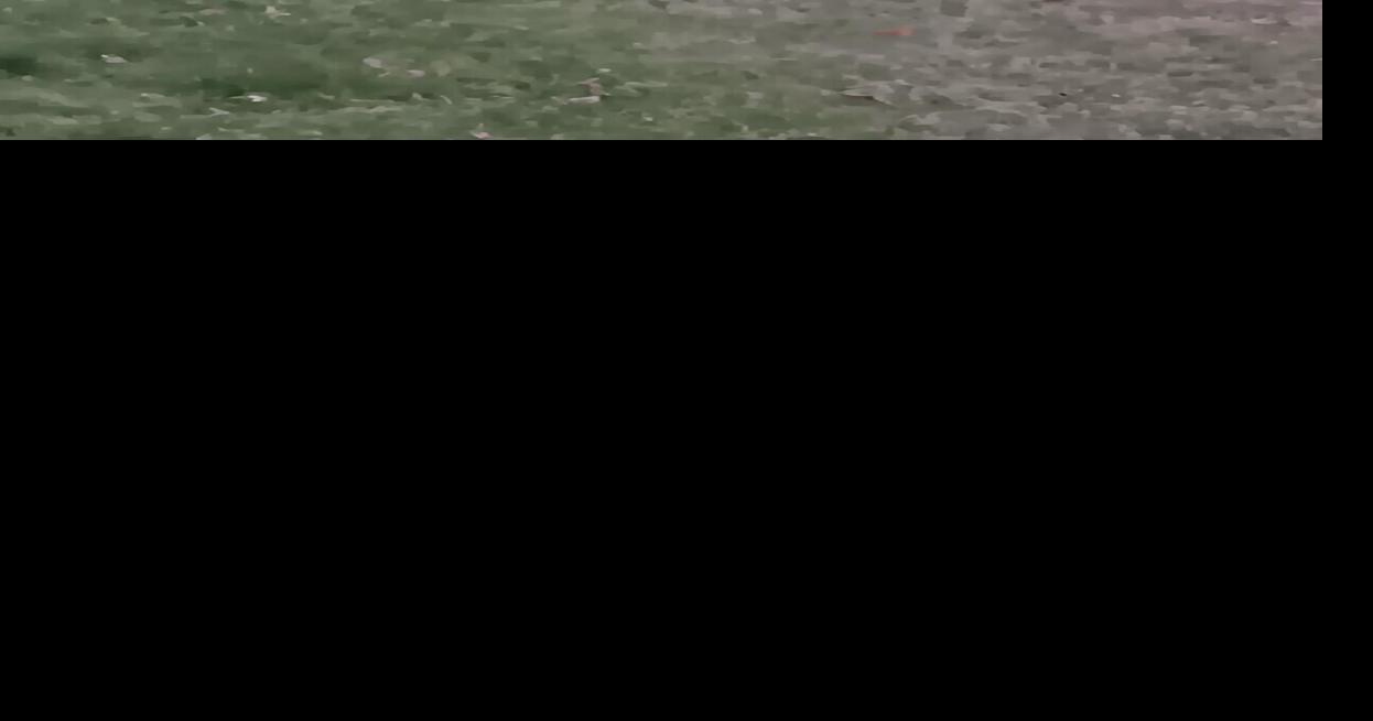 More than 2,100 residents sign petition to keep Foxboro's Warrior logo ...