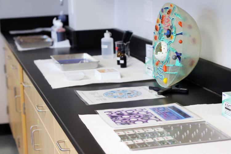 Bristol Community College opens new microbiology lab in Attleboro ...