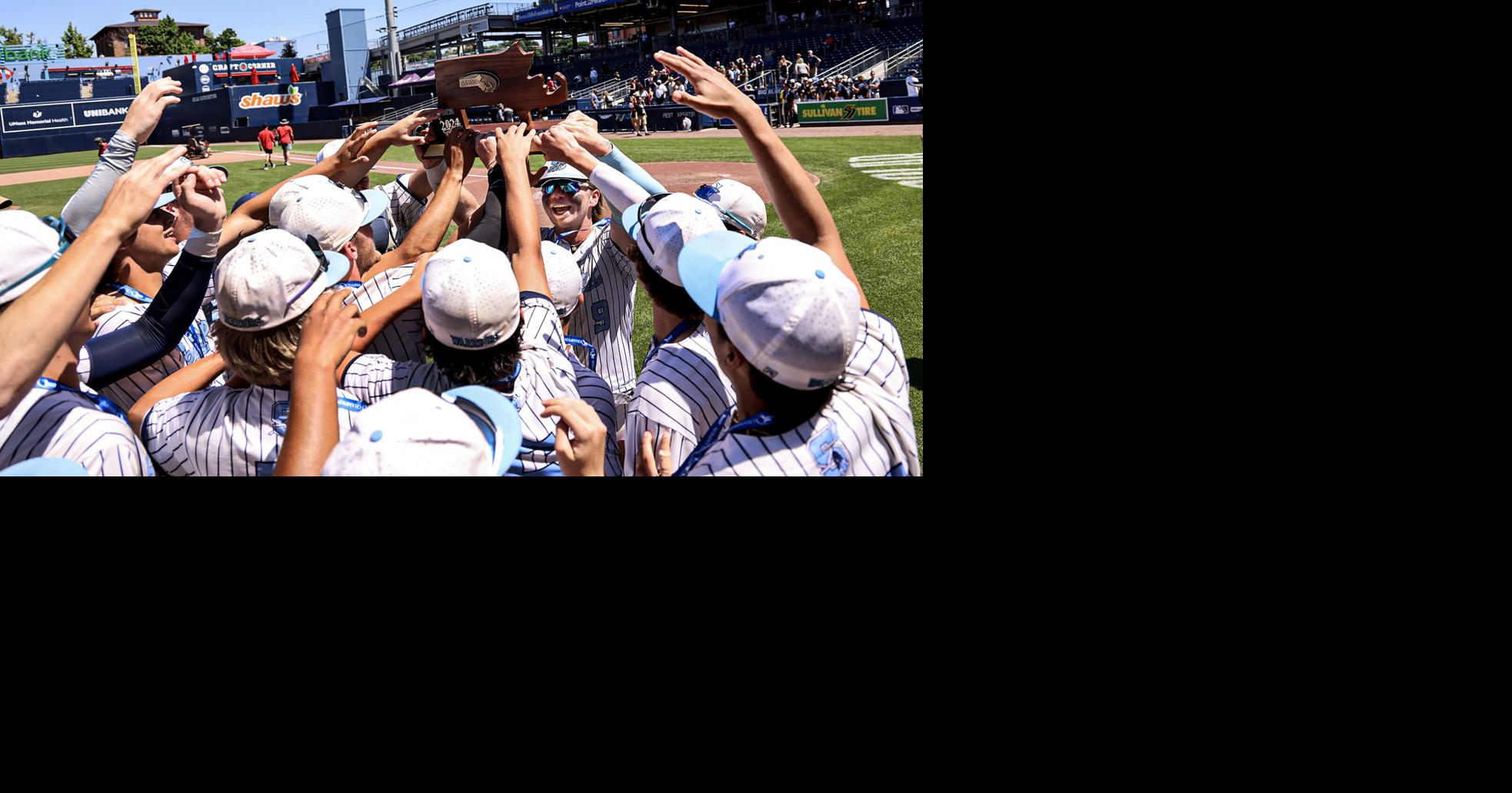 H.S. BASEBALL: Borges fans 14 as Seekonk dons Div. 4 state crown for ...