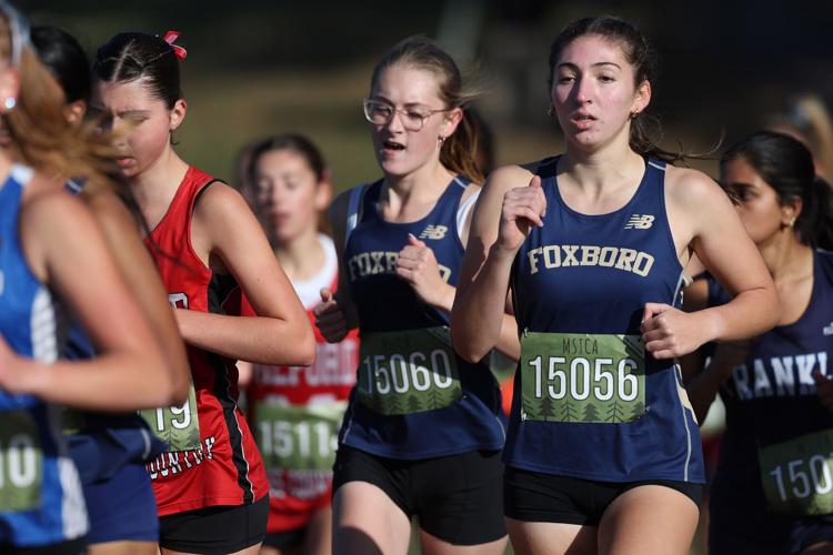 H.S. CROSS COUNTRY: Foxboro teams finish 11th at Hockomock meet ...