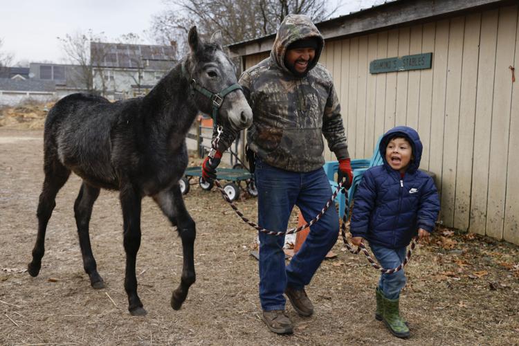 After deadly horse barn fire in Attleboro, signs of healing | Local ...