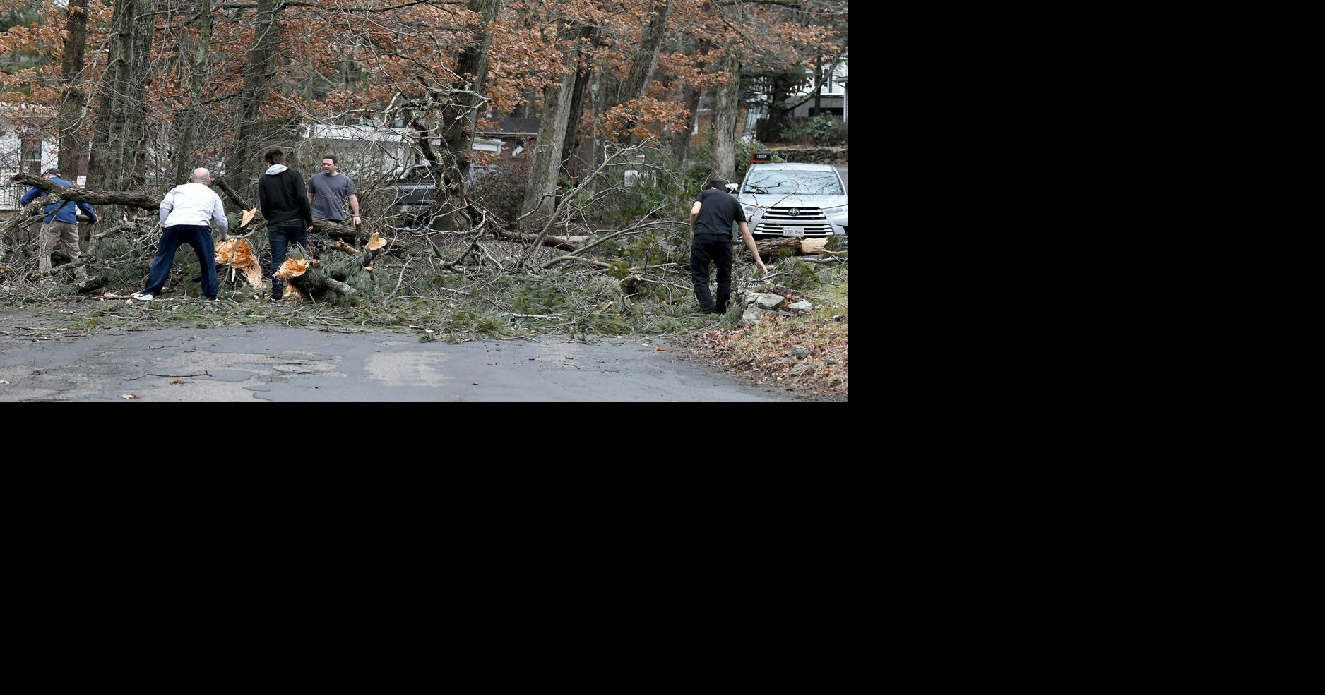 Strong winds blow down trees, knock out power to thousands in Attleboro ...