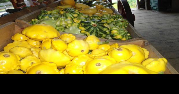 Recipes fresh from the farm | Wine Dine | thesunchronicle.com