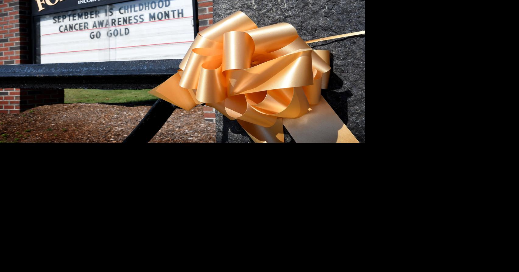 Foxboro Common goes gold for childhood cancer awareness | Local News ...