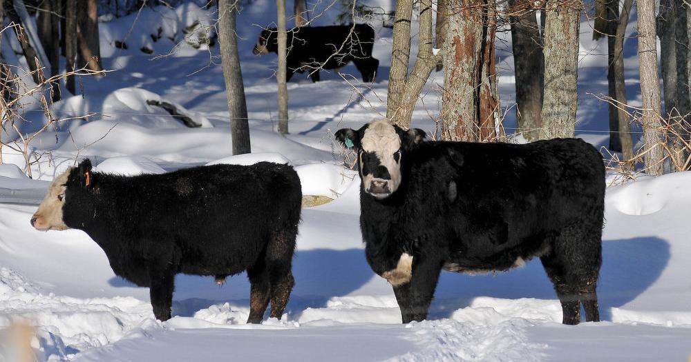 REHOBOTH NOTEBOOK: Snow removal costs mount in Rehoboth | Local News ...