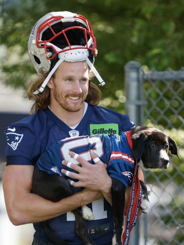 'Dogs only know love': 'Pawtriots' initiative launched at Gillette ...