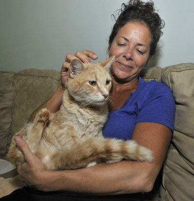 Cat-astrophe averted | Local News | thesunchronicle.com