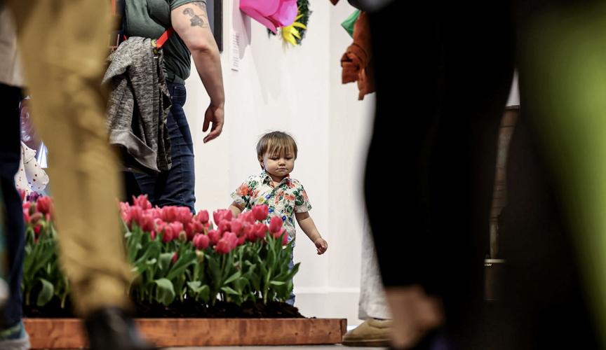 Visitors to Attleboro Arts Museum's flower show treated to sights and ...