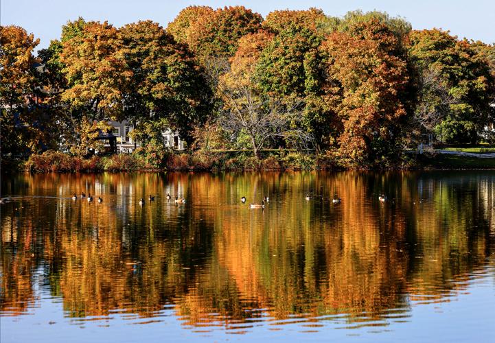 Mike Kirby: A brief history of Fulton's Pond | Columns ...