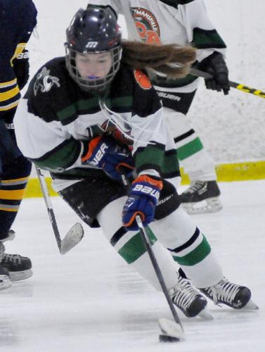 The Sun Chronicle 2015-16 Girls' Hockey All-Star Team | Local Sports ...
