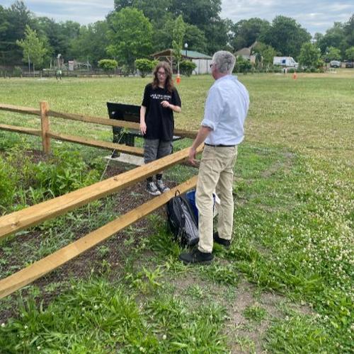 Attleboro's Miyawaki Forest doubles in size since May planting | Local ...