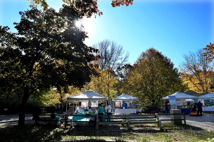 Sturdy Memorial Hospital's health and wellness fair at Capron Park in ...