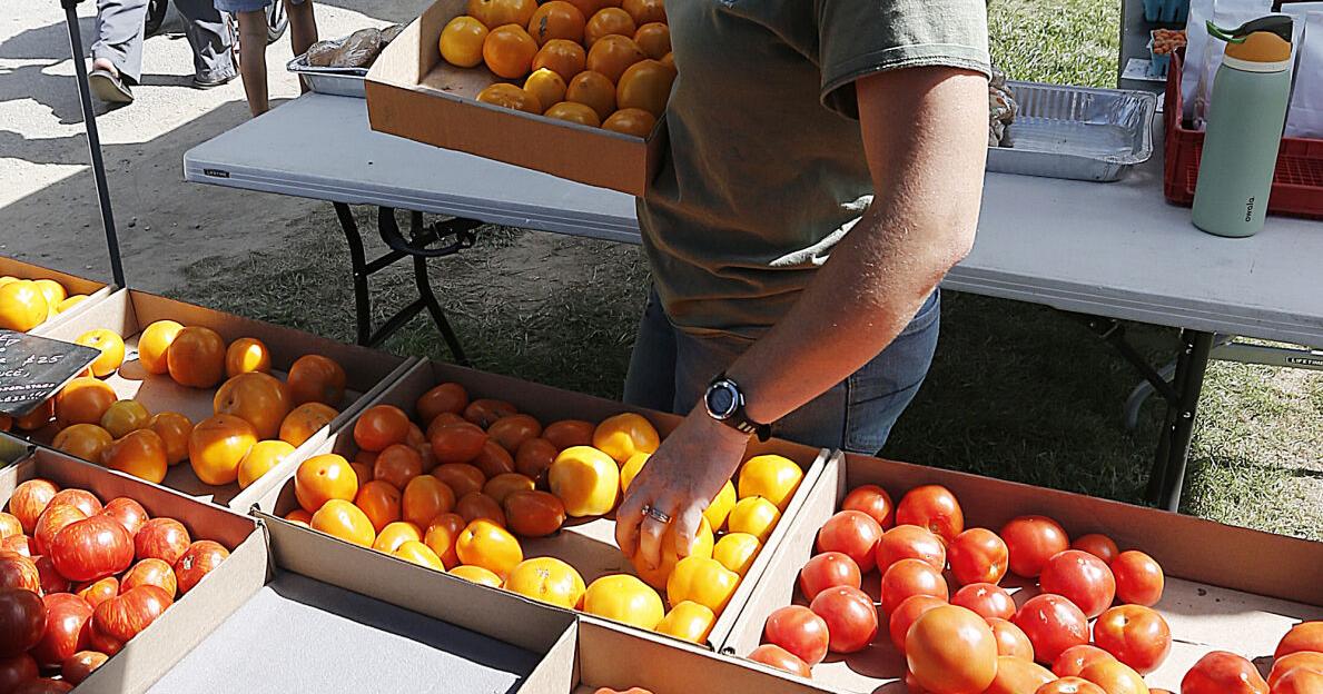 Farmers market returns to LaSalette in Attleboro | Local News ...