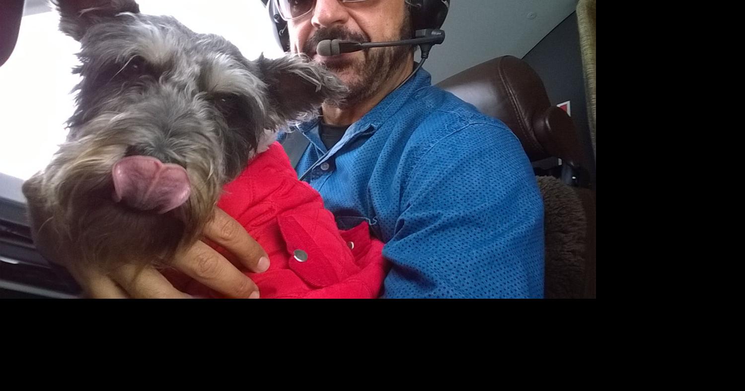 Volunteer pilots help doomed dogs land new chance at life | Stories ...