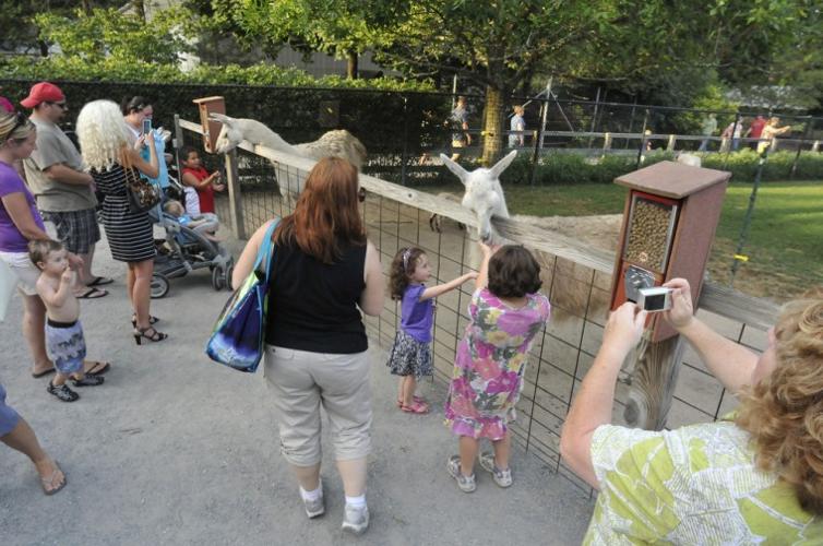 Capron Park Zoo Moon | Gallery | thesunchronicle.com
