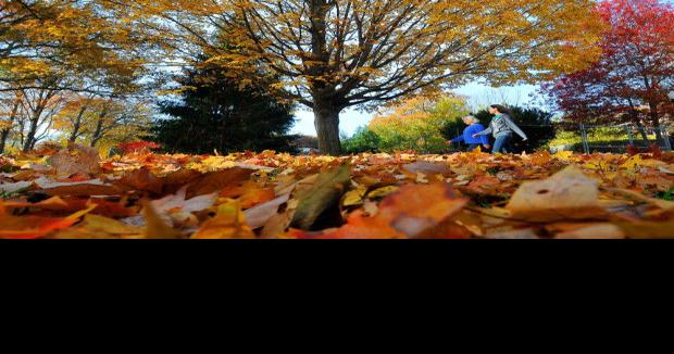 Mild days persist despite turn into November | Local News ...