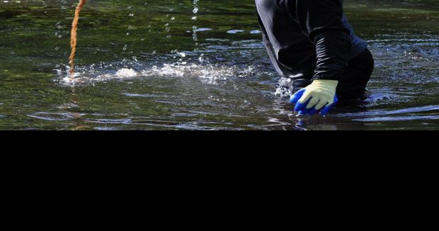'River Rats' dive in to clean up Attleboro's Ten Mile River | Local ...