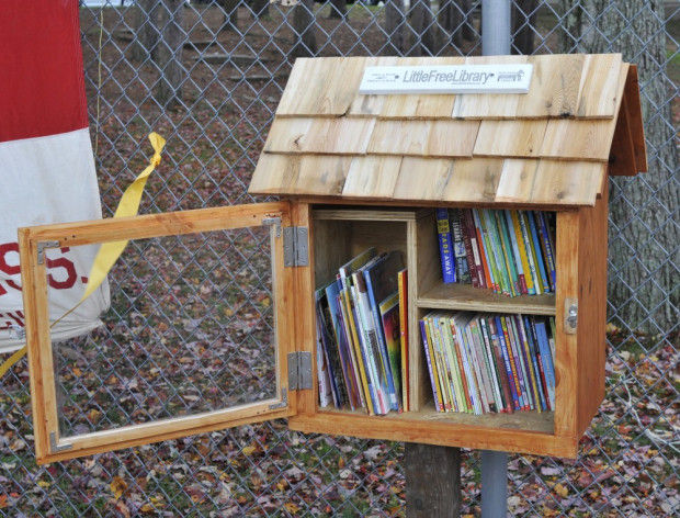 Thanks to Eagle Scout, Little Free Library is now serving young readers ...