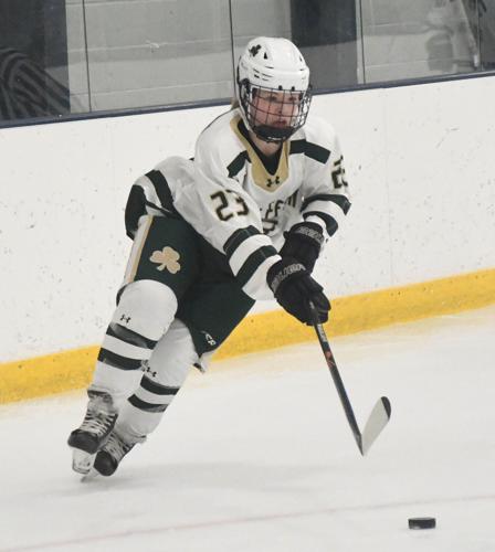 H.S. GIRLS HOCKEY: Bishop Feehan takes down Bishop Stang | Local Sports ...