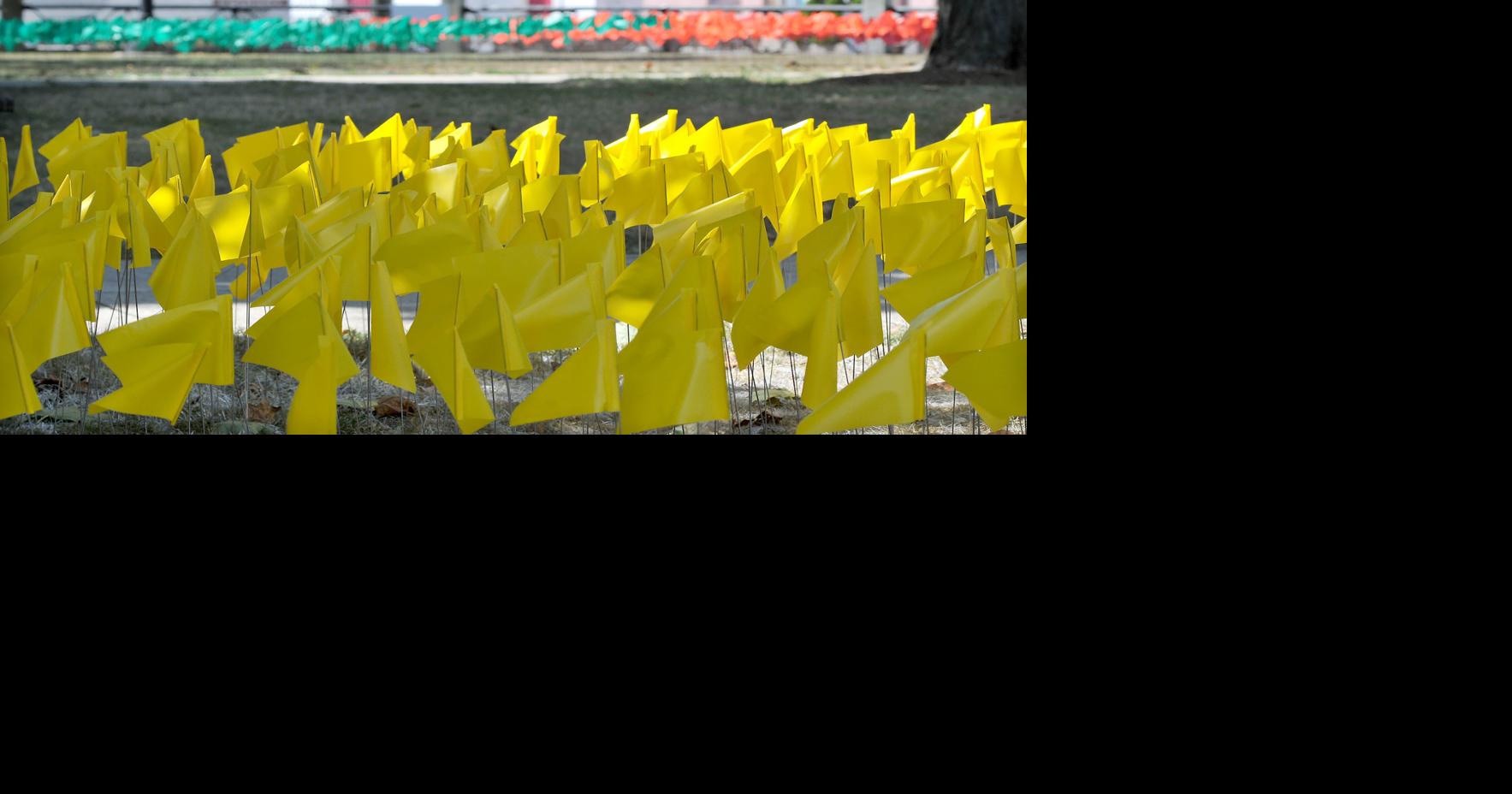 Event on Foxboro Common over weekend to mark losses to, heighten ...