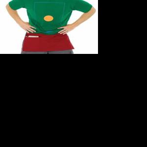 FHS grad on PBS kids' show | Features | thesunchronicle.com