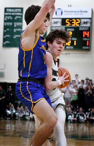 H.S. BOYS BASKETBALL: Mansfield's state run ends in double overtime to ...