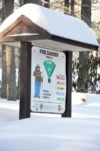 Forest fans rejoice: State fills Foxboro post | Local News ...