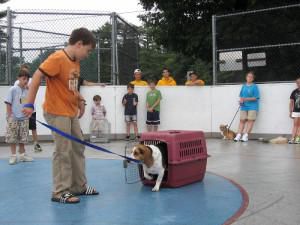 Pets parade at Booth Playground | Features | thesunchronicle.com