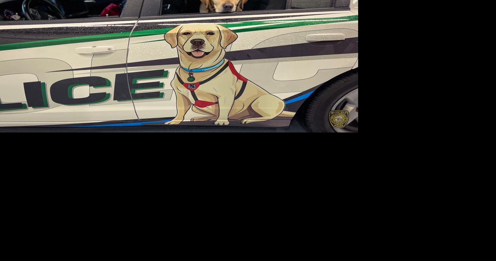 Old Mansfield Police Cruiser Gets A Facelift And Gives K9 Bentley A New