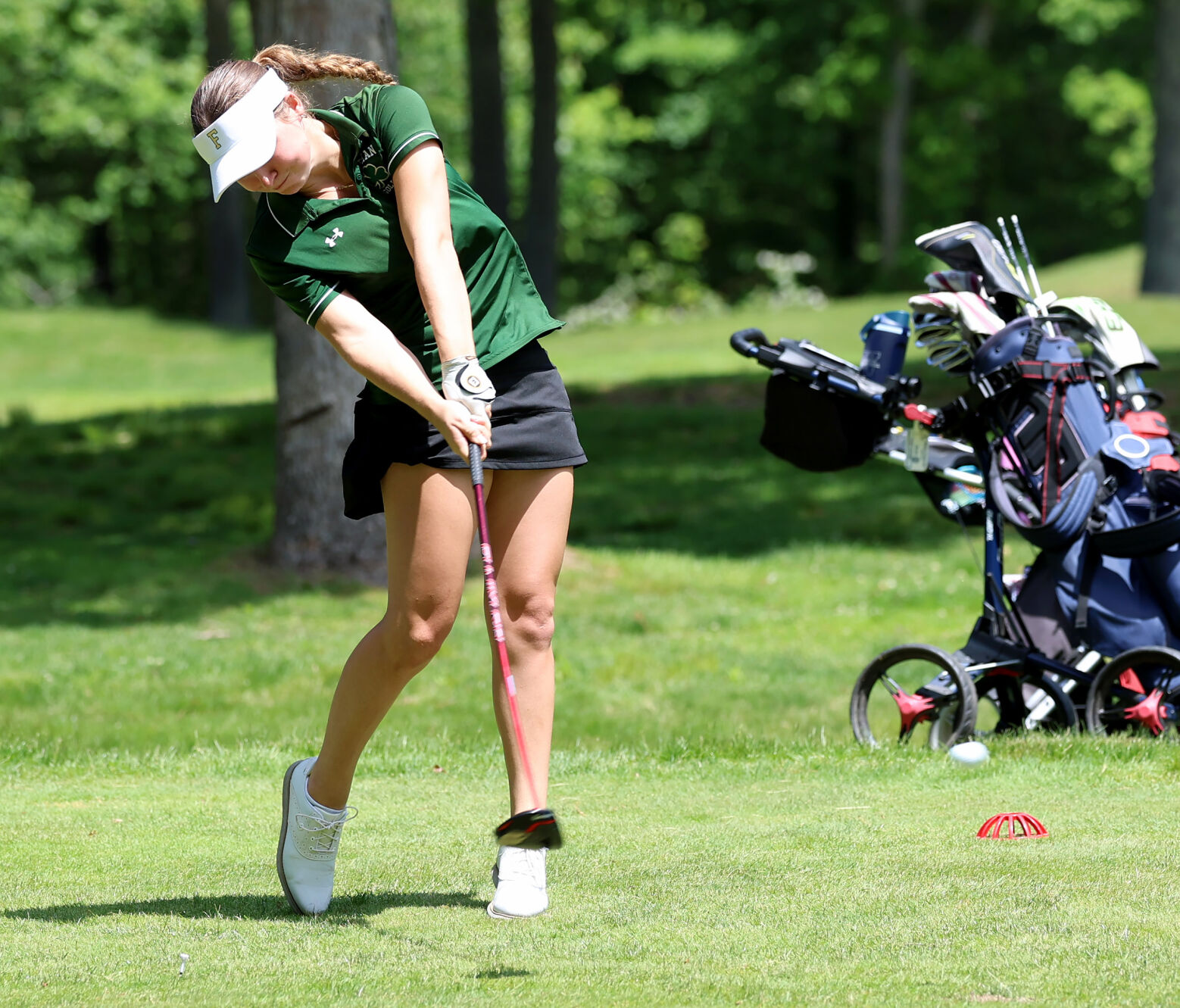 H.S. GIRLS GOLF: Bishop Feehan’s Correia captures golf title at South ...