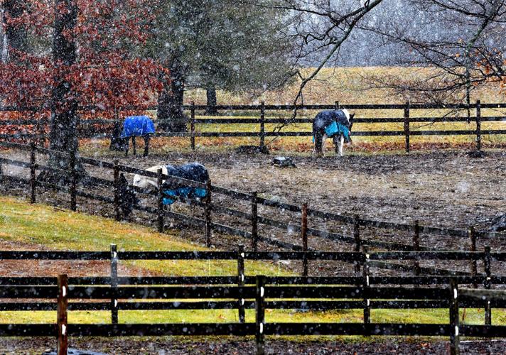 Record-low snow season in Attleboro area | Local News | thesunchronicle.com