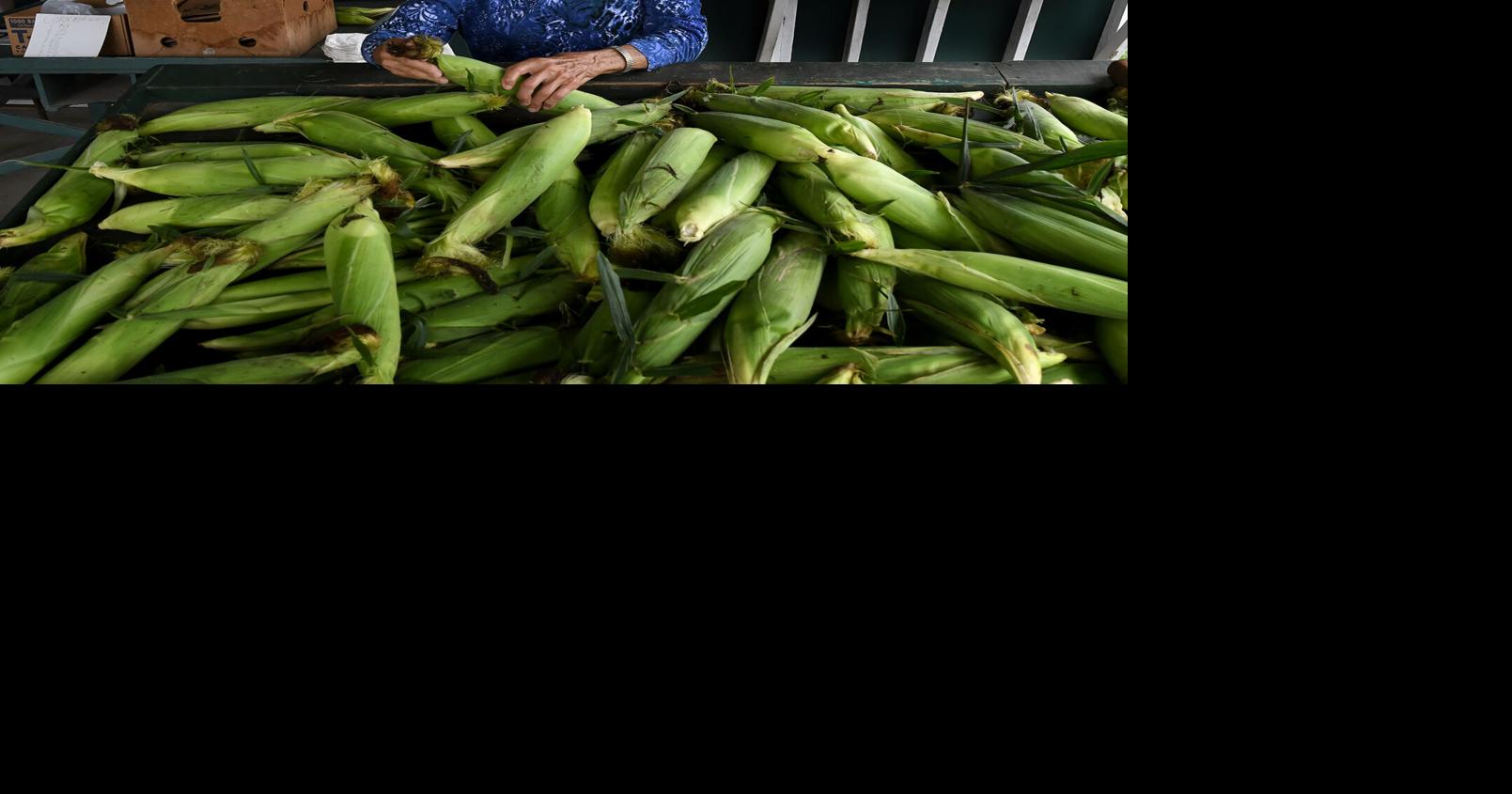Fine Farms slips into history | Local News | thesunchronicle.com