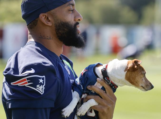 'Dogs only know love': 'Pawtriots' initiative launched at Gillette ...