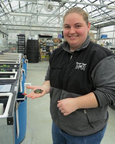 Bristol Aggie students to the rescue of endangered Chinese box turtles ...