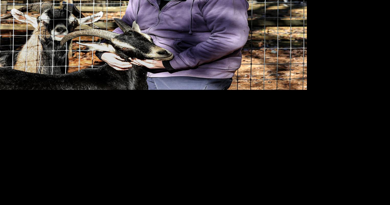 True Santas: Dedicating her time to helping animals | | thesunchronicle.com