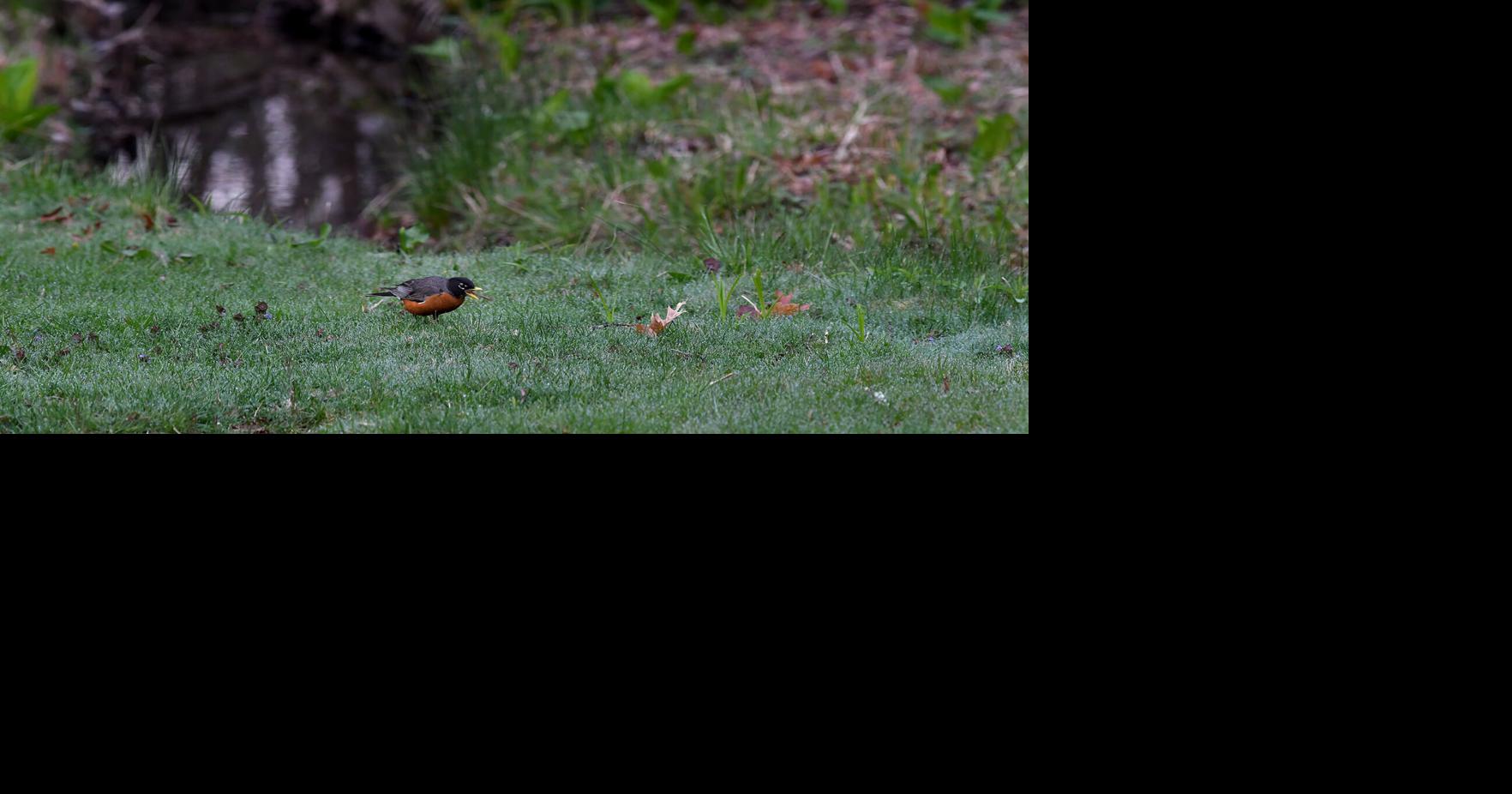 Along the Way: Explore the Upper Bungay River | Communities ...