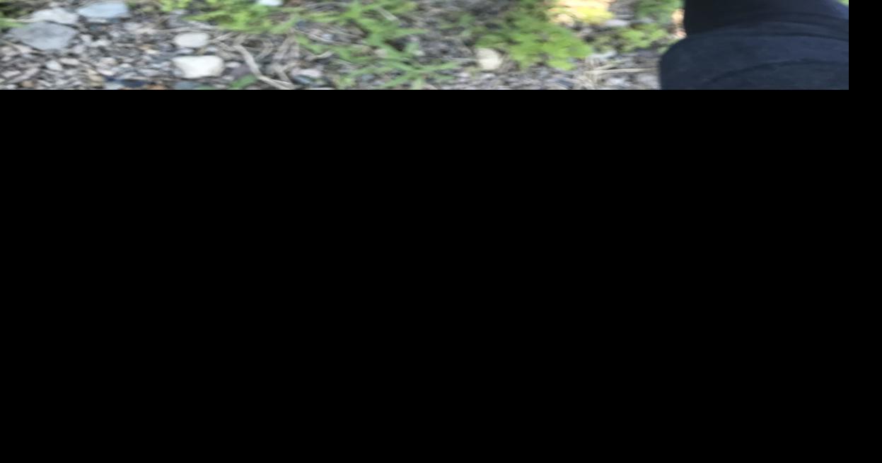 SNICKERS | Pet Day | thesunchronicle.com