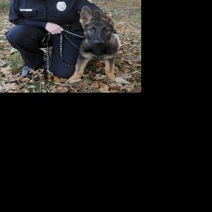 Hilary Cohen has her day | Local News | thesunchronicle.com