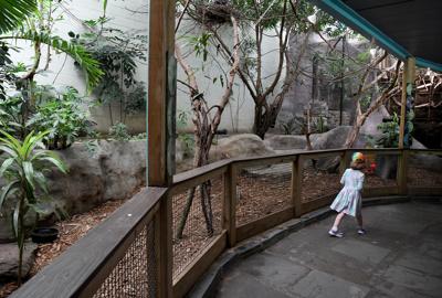 Capron Park Zoo in Attleboro gains re-accreditation | Local News ...