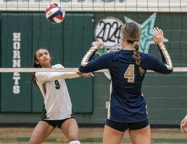 H.S. VOLLEYBALL: Buchanan sparks Mansfield past Foxboro | Local Sports ...