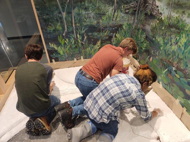 Bristol Aggie to host open house showcasing school, student work ...