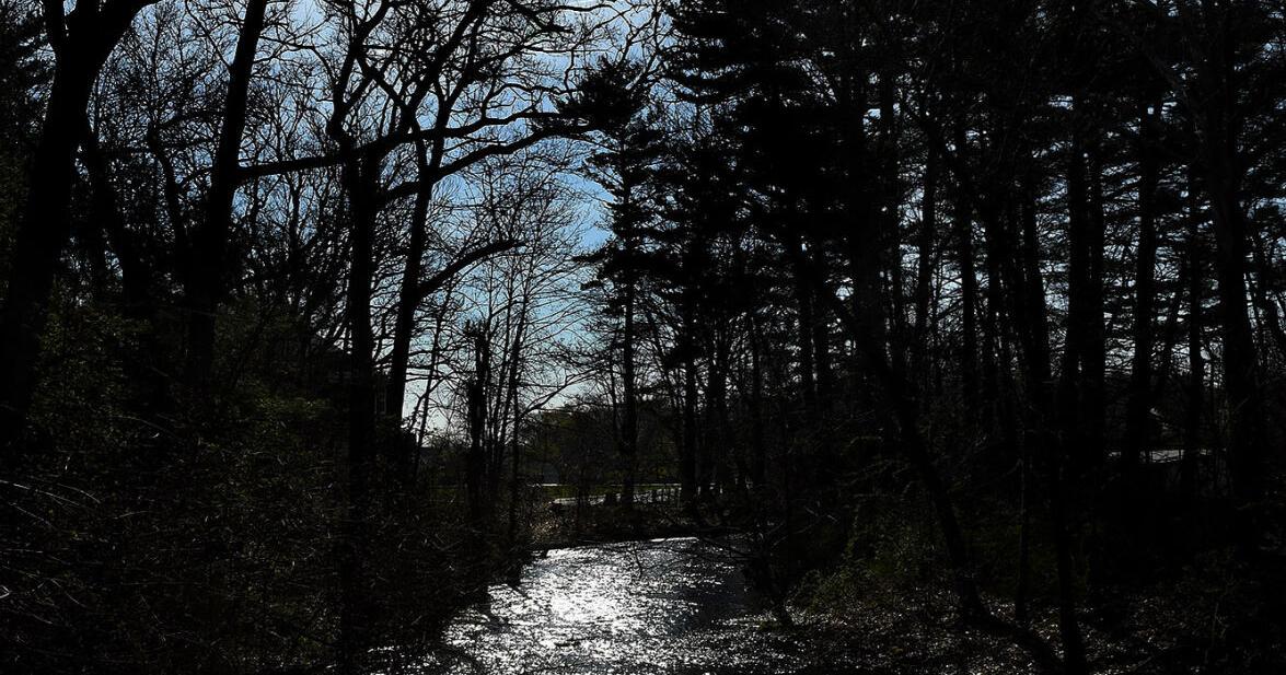 Along the Way: Explore the Bungay River | Communities | thesunchronicle.com