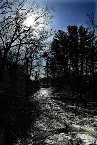 Along the Way: Explore the Bungay River | Communities | thesunchronicle.com