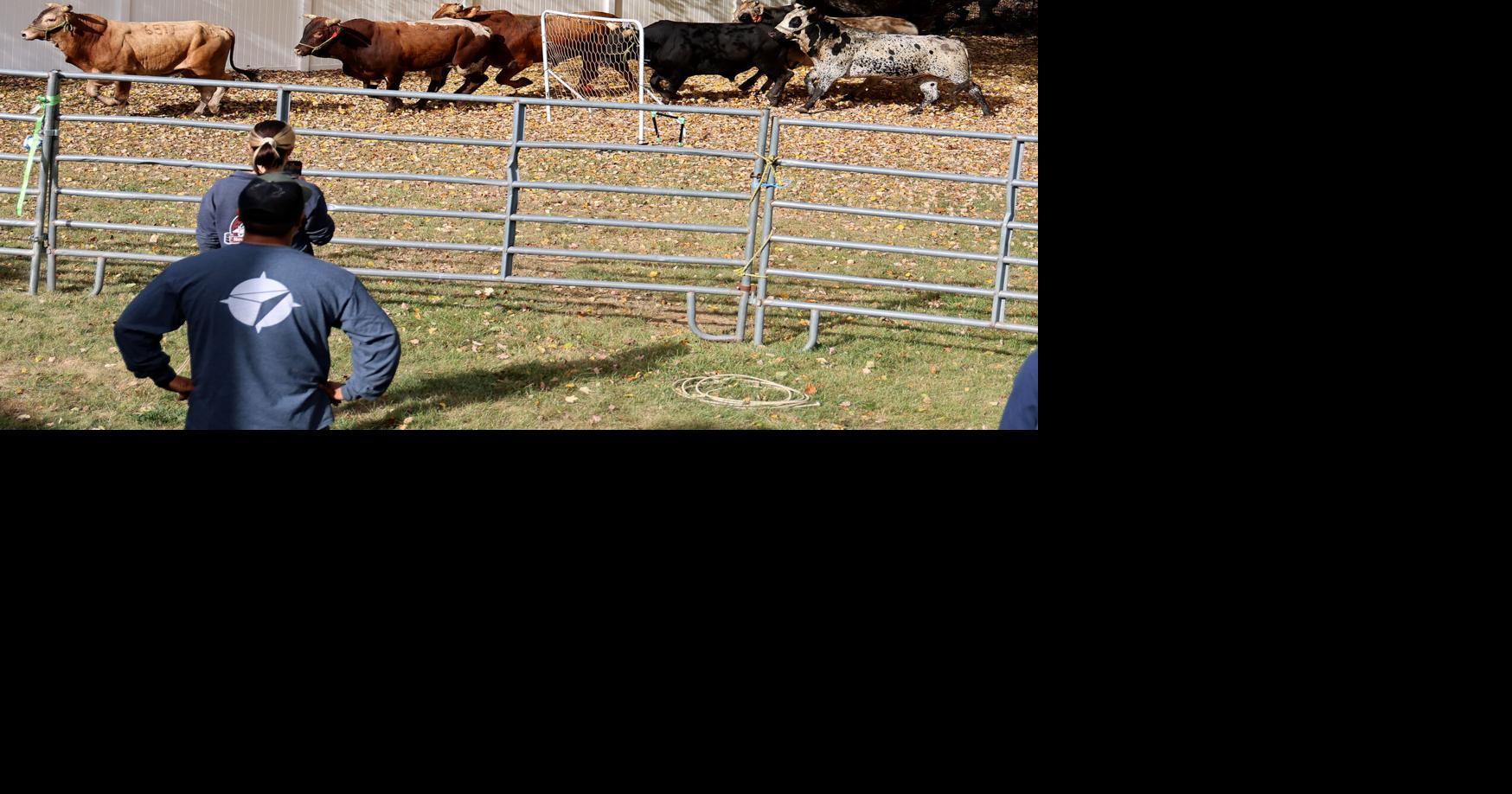 North Attleboro officials say there was multi-layered approval process ...