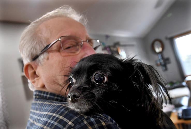 Mixed breed named Mopsy declared Attleboro's 'Top Dog' | Local News ...