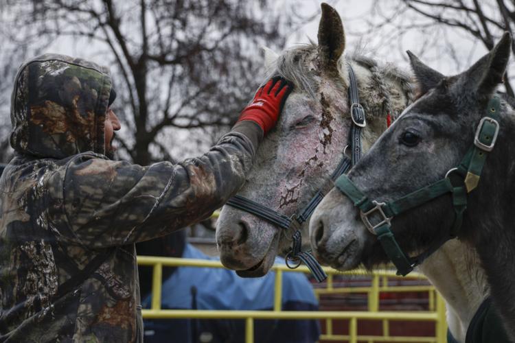 After deadly horse barn fire in Attleboro, signs of healing | Local ...