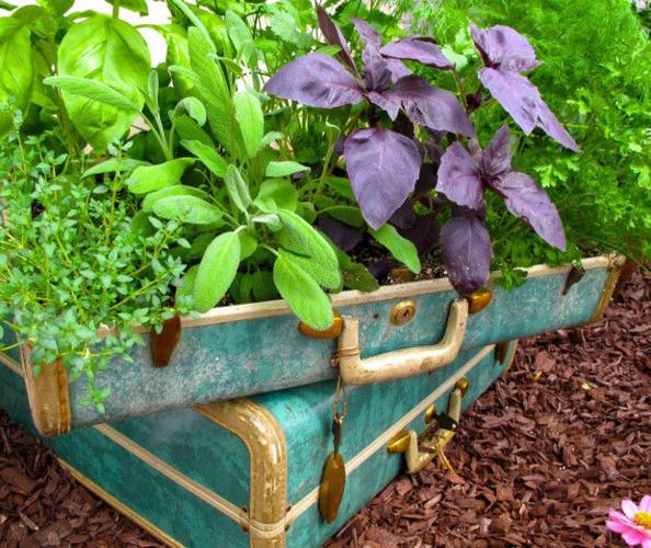 The portable garden: Plant so your garden can move with you | Stories ...