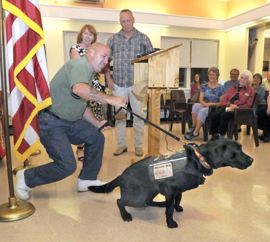 Prison dogs help inmates, veterans cope | Local News | thesunchronicle.com